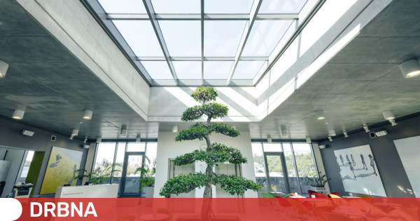 Pražské Protonové centrum je již 11 let špičkou mezi zdravotnickými ...