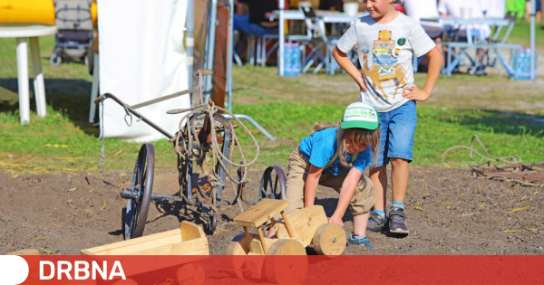 Rok 2024 se ponese na Výstavišti České Budějovice ve znamení 50 ...