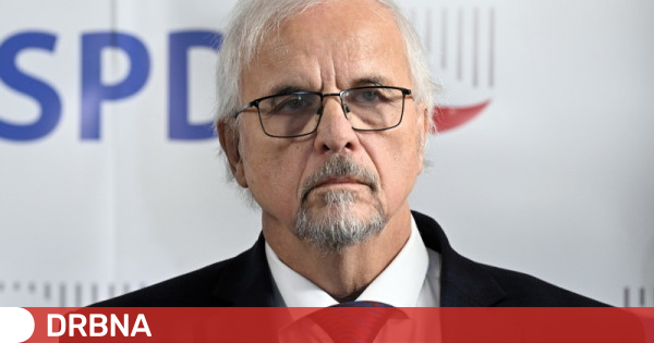 David: Každý má přímou povinnost uplatnit své demokratické právo volit