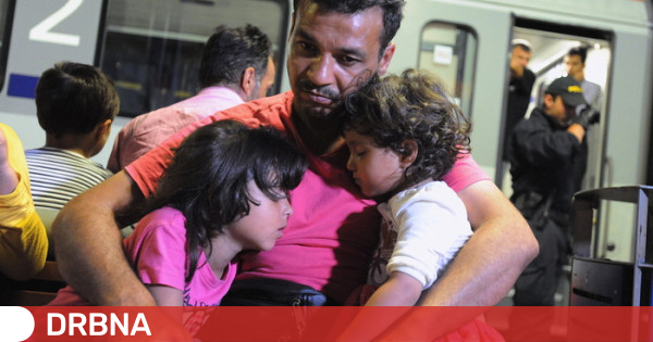 Na pomoc s migrací do Afriky a Afghánistánu pošle Česko 100 milionů korun