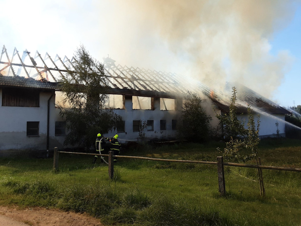 Rozsáhlý požár kravína na Pelhřimovsku, všechny krávy uhynuly. Zranil ... Rozsáhlý požár kravína na Pelhřimovsku, všechny krávy uhynuly. Zranil ...